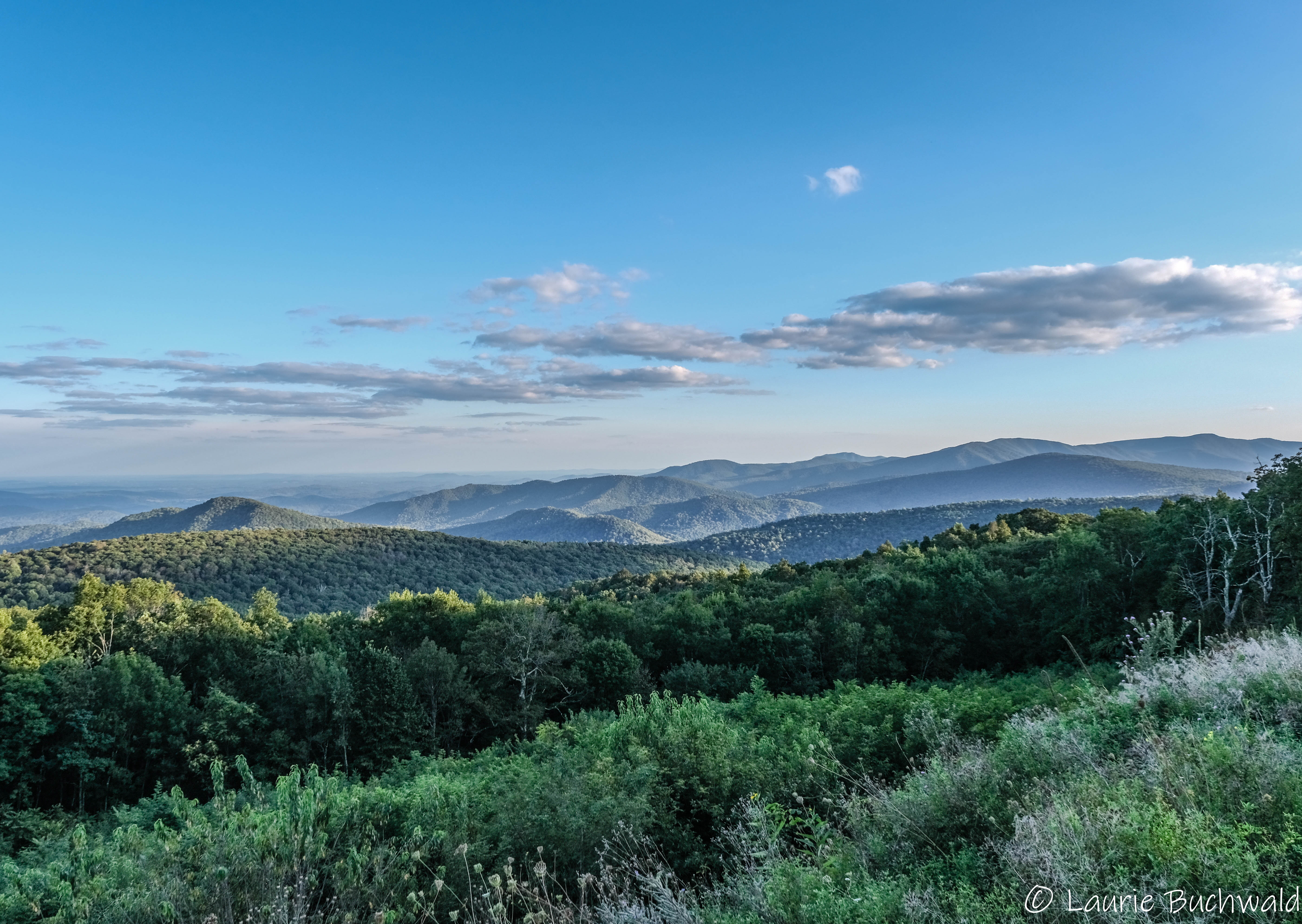 Skyline Drive | Life on the Bike and other Fab Things